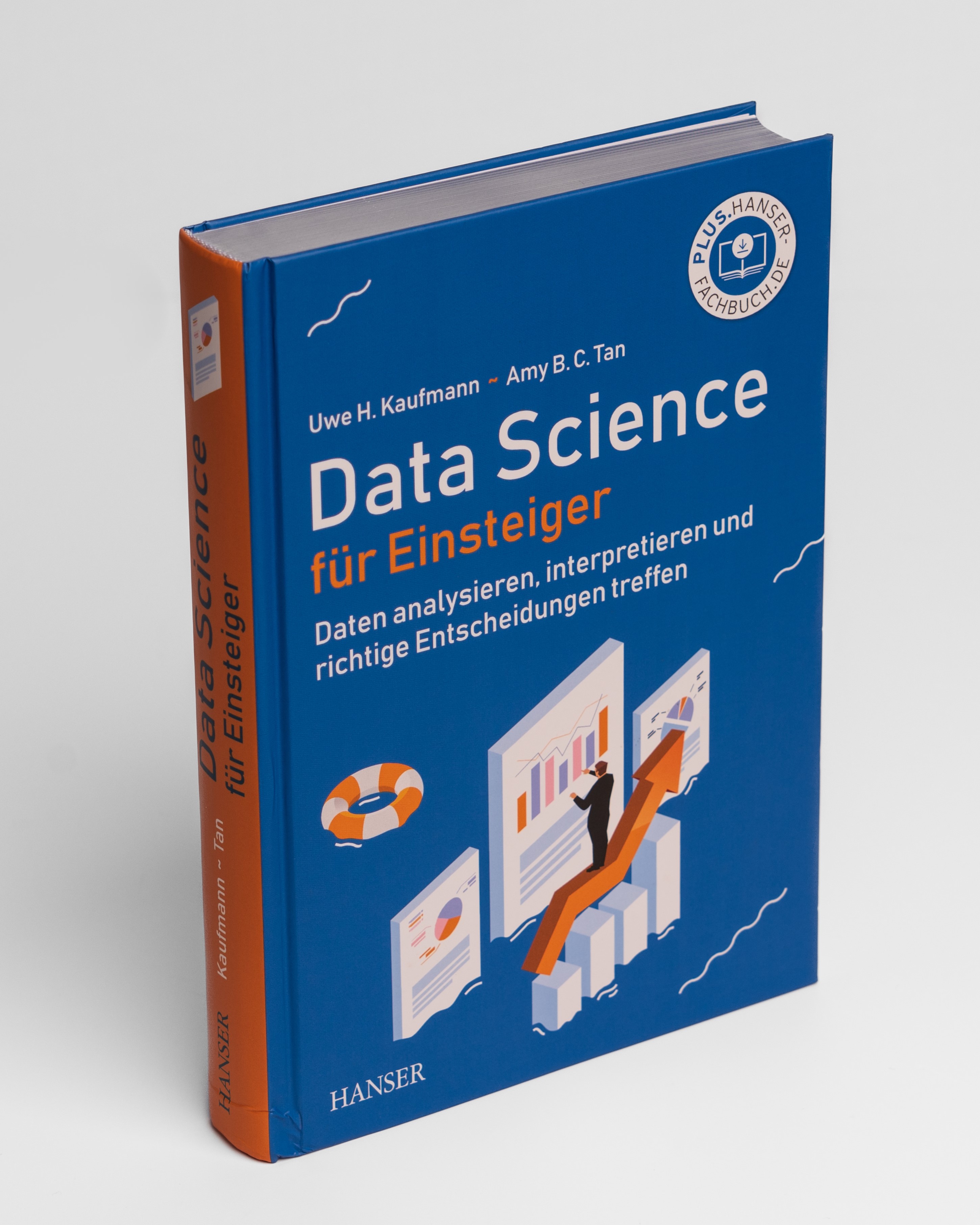 Management Consulting - Customer - Process - Workforce - COE