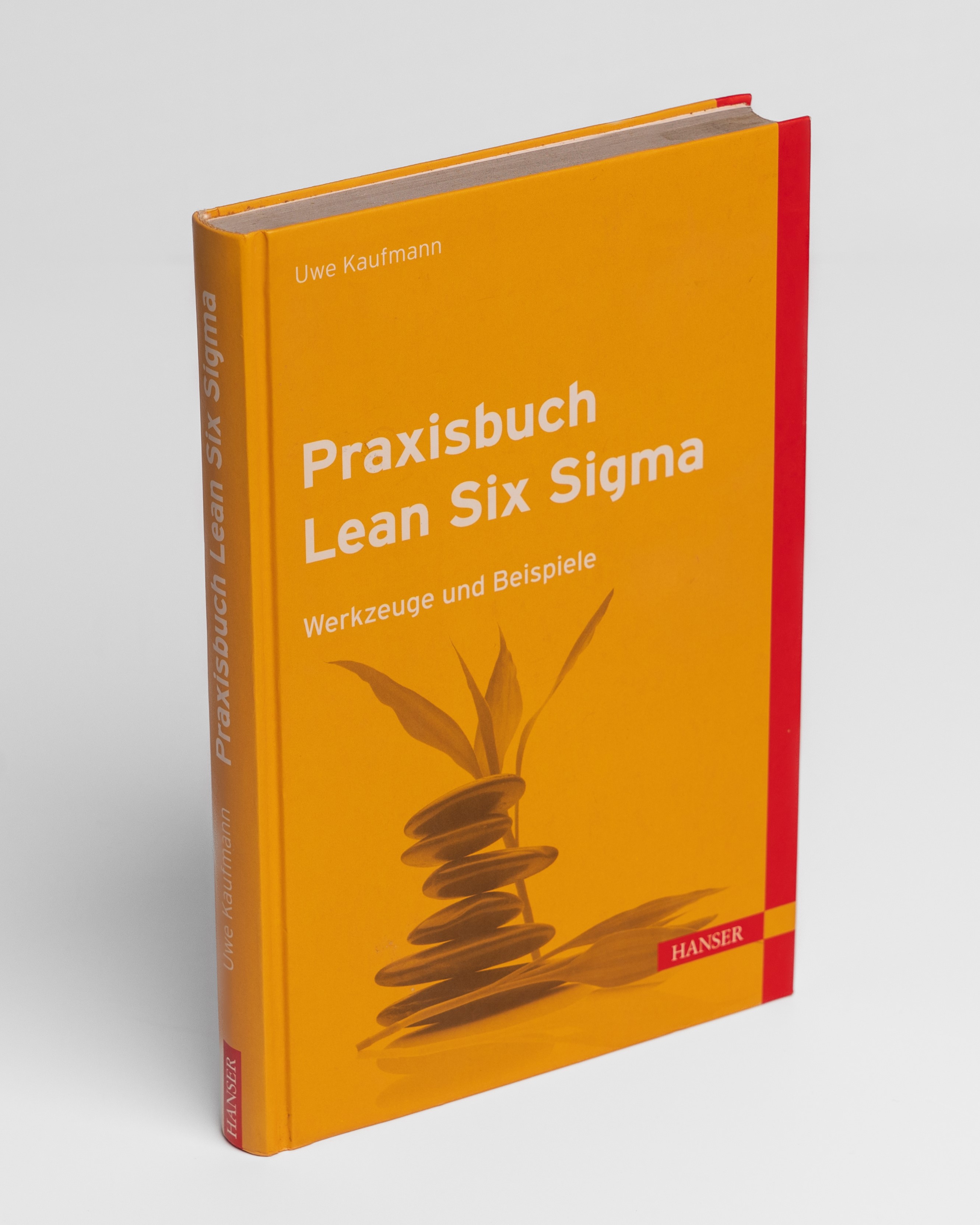 Management Consulting - Customer - Process - Workforce - COE